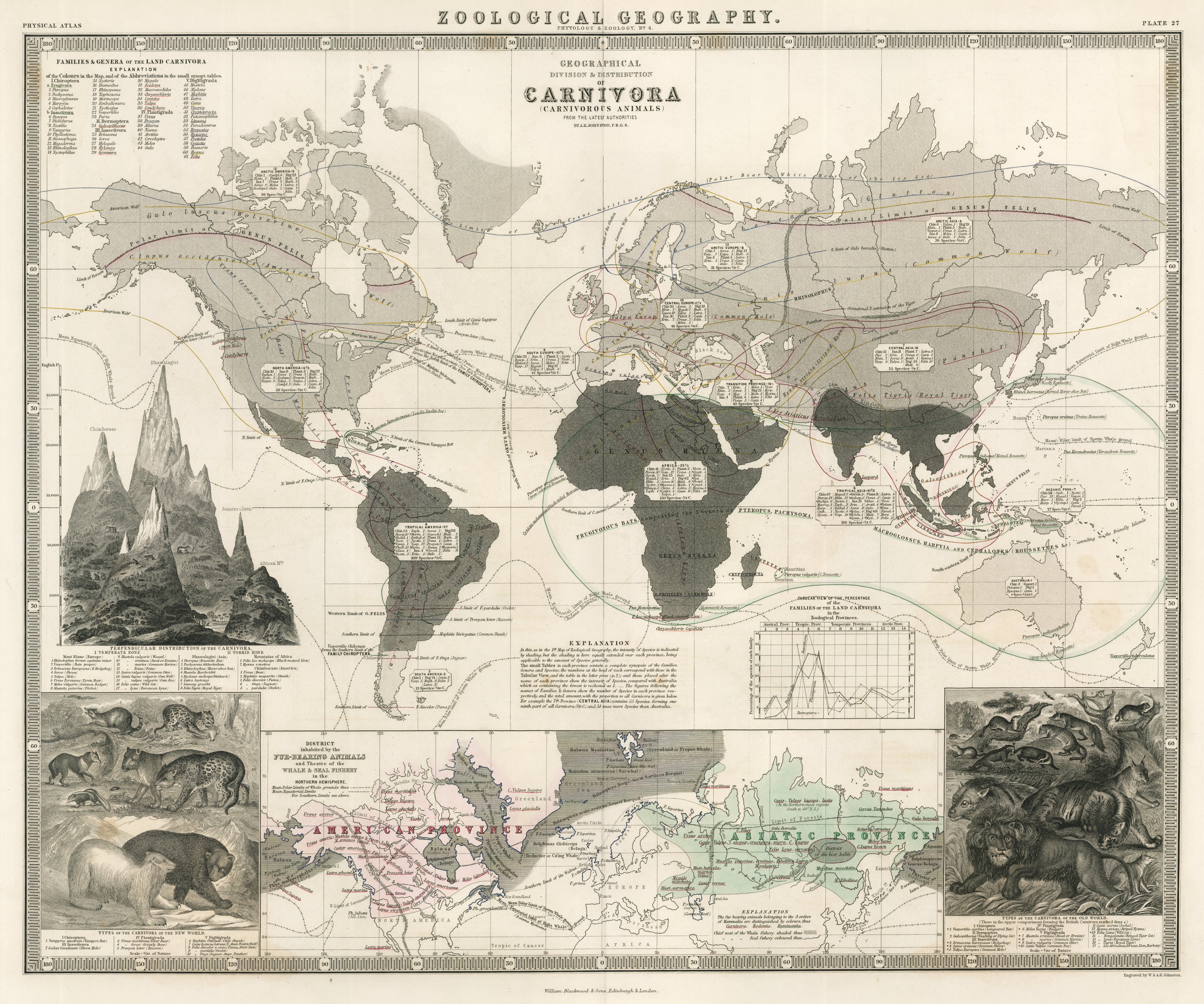 Geographical Distribution of Carnivorous Animals by A.K. Johnston 1856 ...