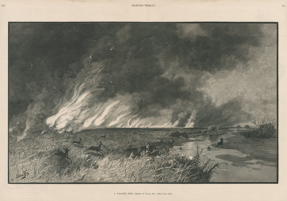 Antique Print: "Prairie Fire", 1886, by artist Julian Rix – New World ...