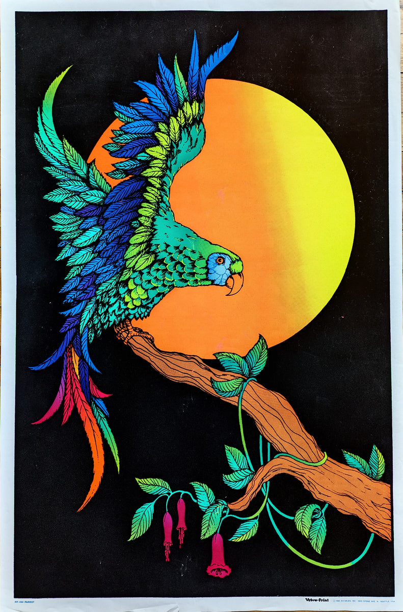 Vintage Poster: Tropical Parrot Velva-Print by AA Sales inc. 1970s ...